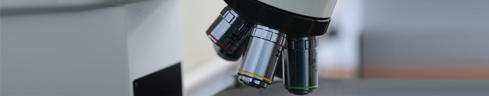 Metallography | Mechanical Testing | Metallography Testing | Corrosion ...